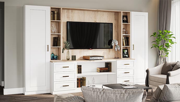 Built-in Media Units